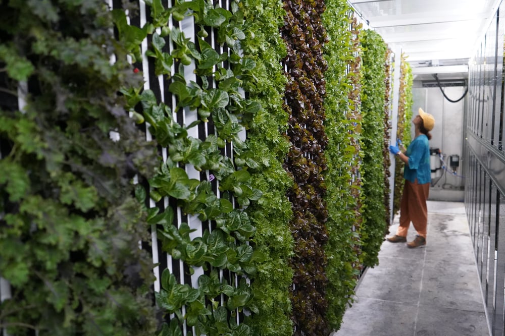 Freight Farms Small Business Marketing Guide Download