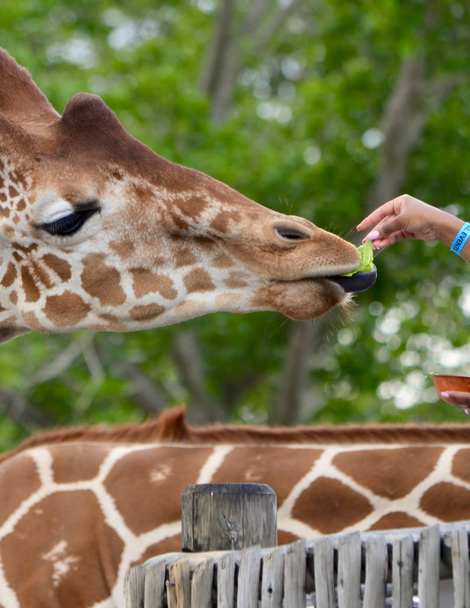 Start container farming - Freight Farms