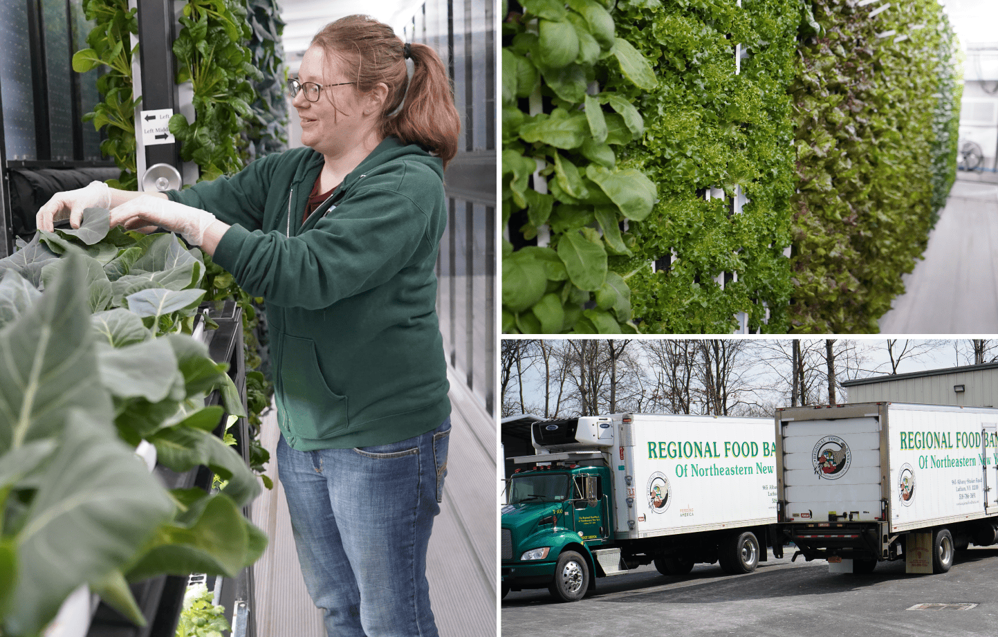 Freight Farms Food Banks