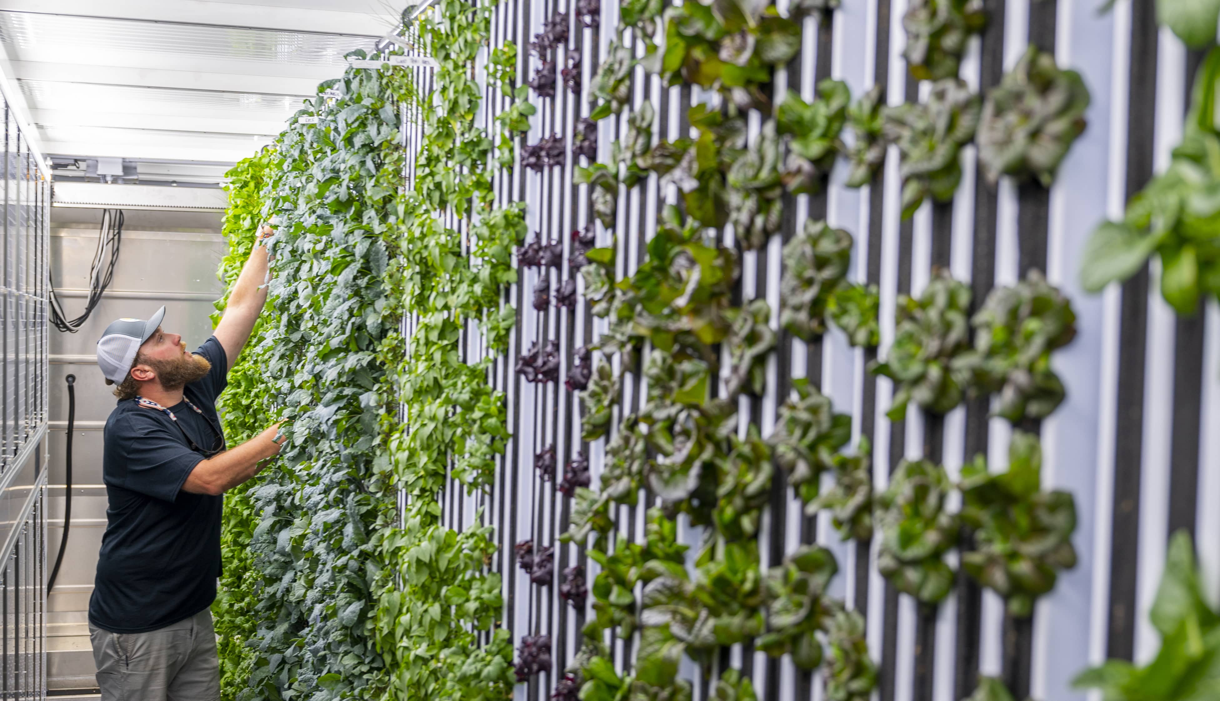 Freight Farms Container Farm Tour